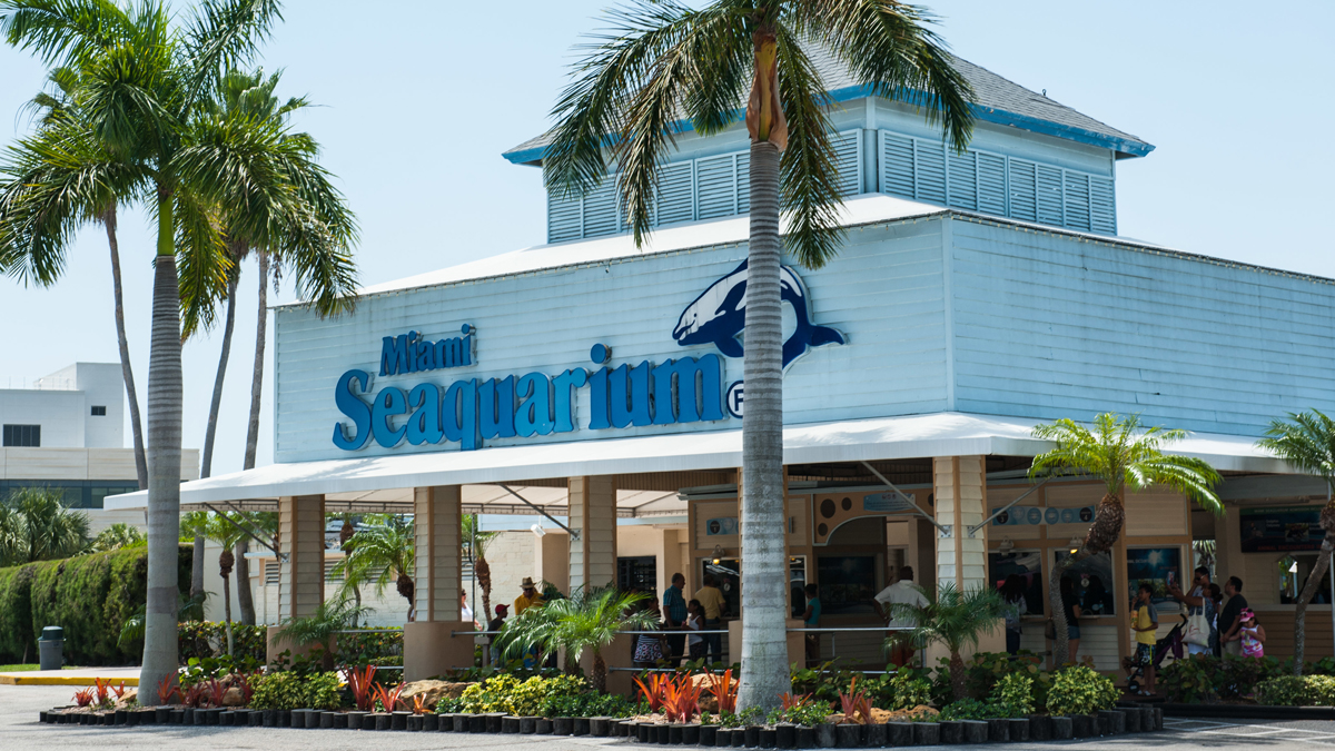 Miami-Dade pone fin a contrato con Miami Seaquarium, ordena desalojar ...