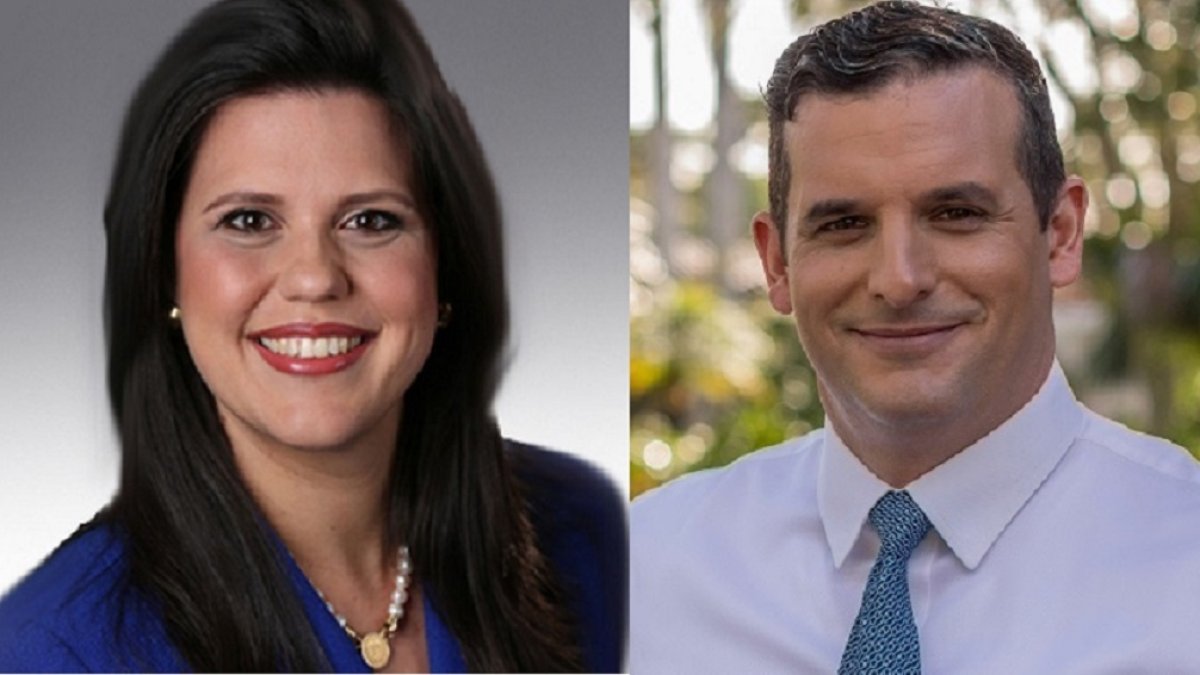 Ana María Rodríguez gana contienda por el Distrito 39 del Senado ...