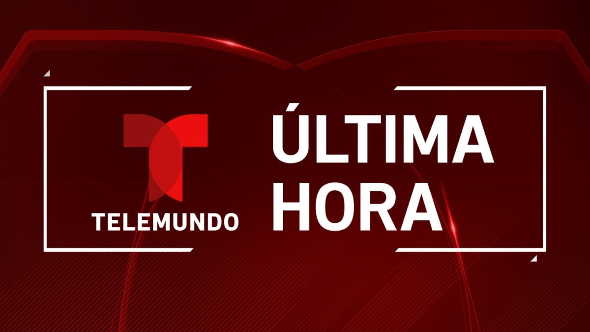 Noticias de Miami y Florida en vivo: 17 de noviembre – Telemundo Miami (51)