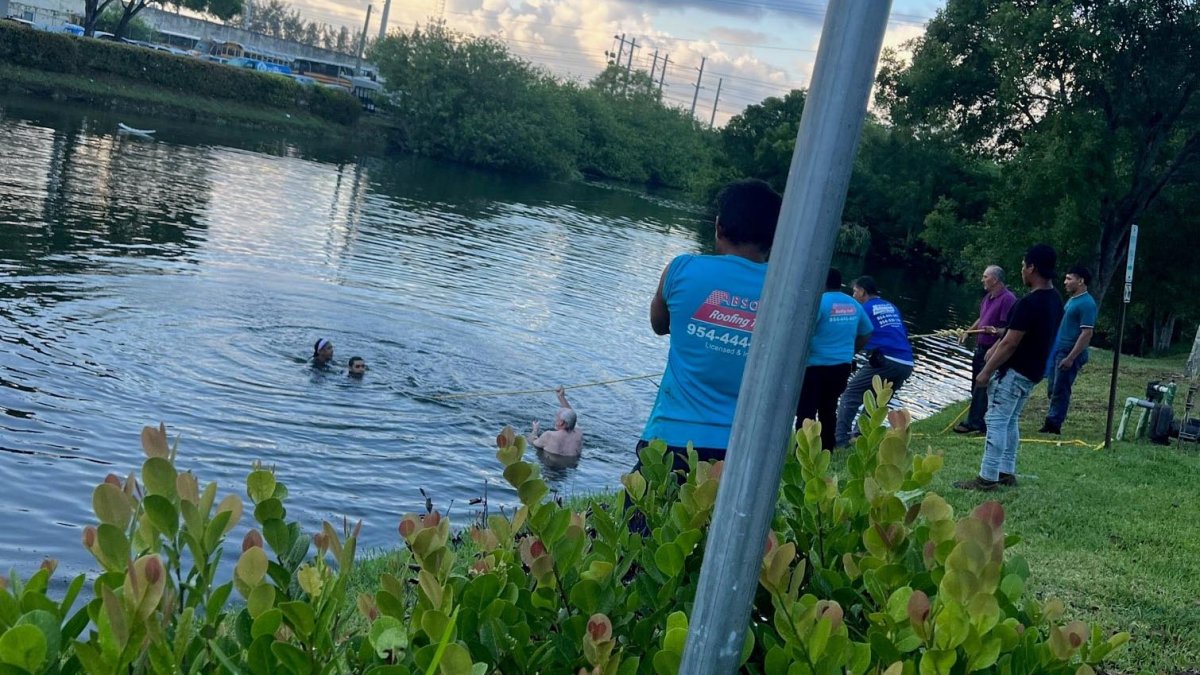 Sur de Florida: Rescatan a mujer que cayó en un estanque – Telemundo ...