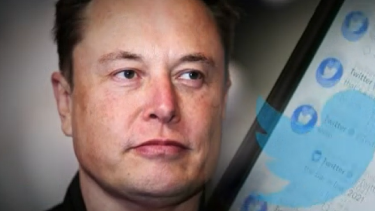 Hombre de Bradenton se hizo pasar por Elon Musk para estafa – Telemundo ...
