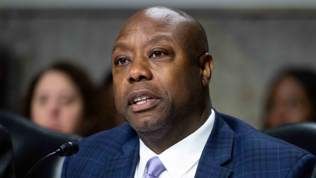 Estados Unidos: Tim Scott, senador republicano, se postula a la ...