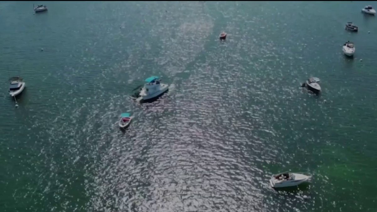 Inician operativos para localizar botes abandonados en Miami-Dade ...