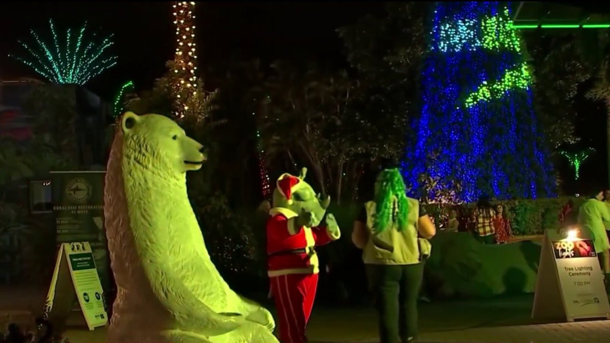 Celebración navideña en el Zoológico de Miami – Telemundo Miami (51)