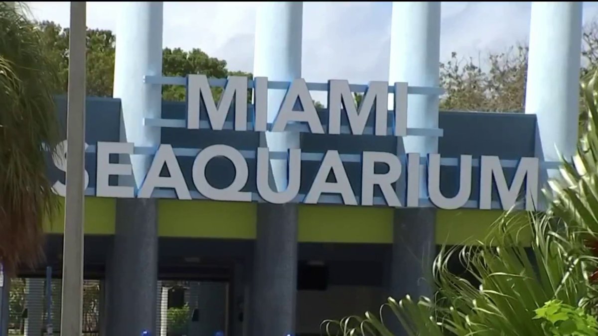 Miami-Dade busca poner fin al contrato de arrendamiento con Miami ...