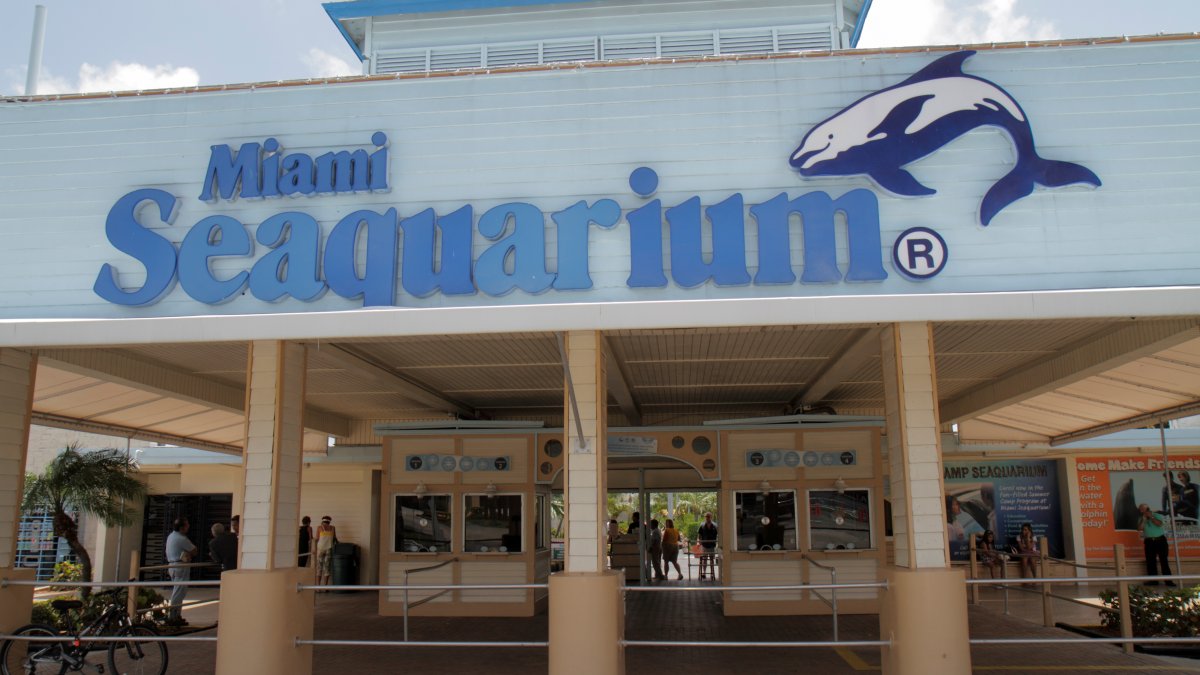 Miami Seaquarium cierra sus puertas tras 70 años de actividad ...