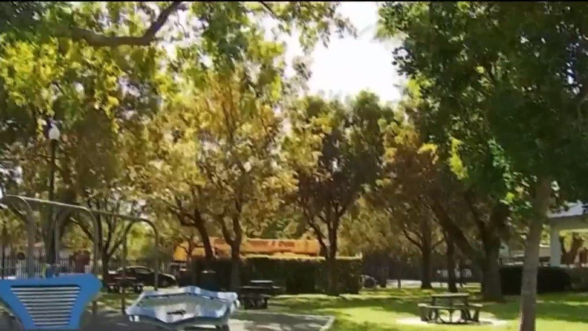 Miami Ayer y Hoy: Bryan Park – Telemundo Miami (51)