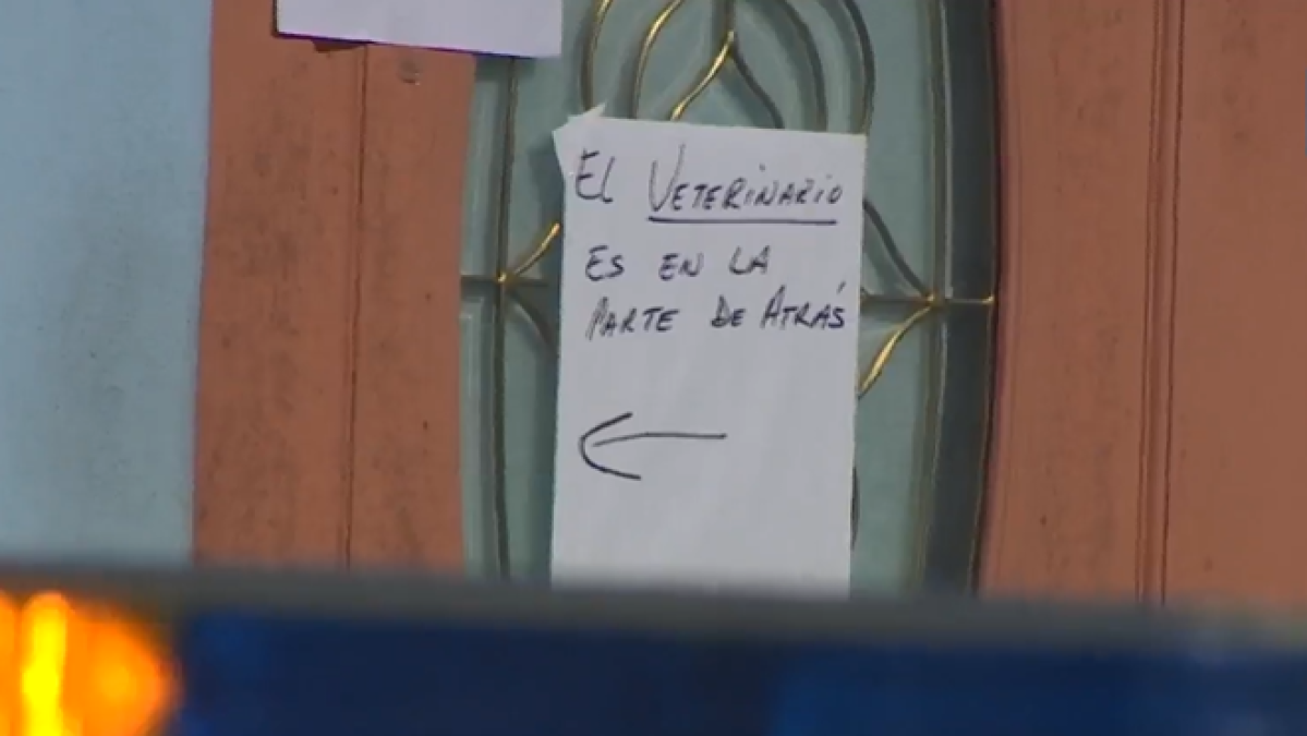 Tres Detenidos Por Operar Clínica Veterinaria Sin Licencia En South