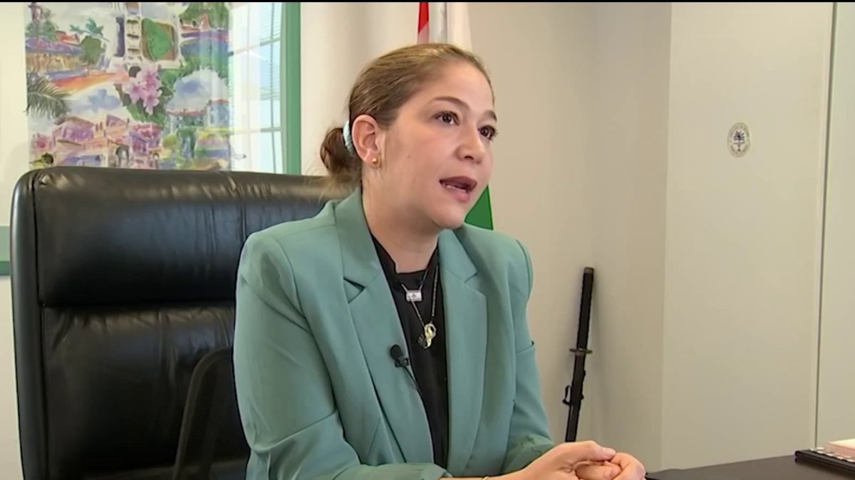 Investigan a excomisionada de Miami Sabina Covo por alegaciones de ...