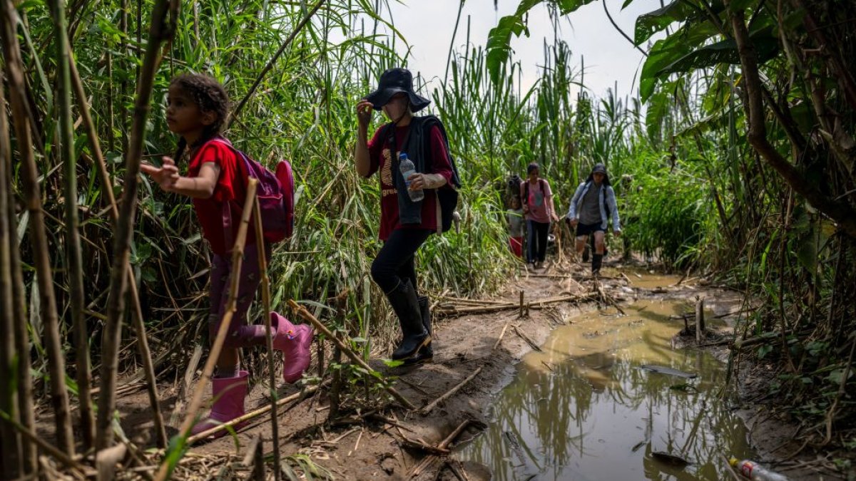 El éxodo Venezolano Una Travesía De Dolor Y Esperanza Rumbo A Estados