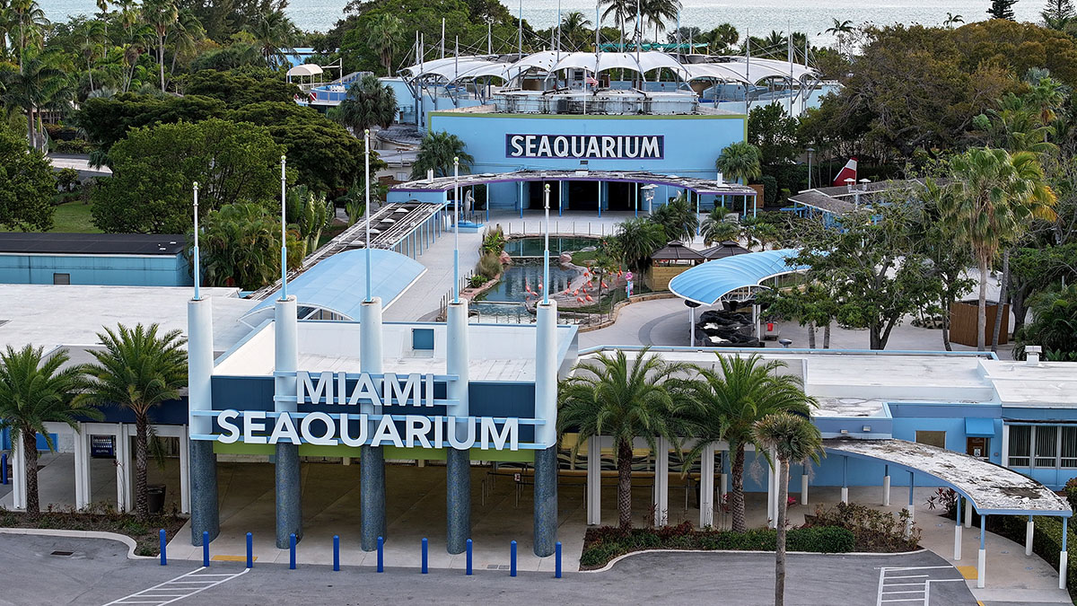 Miami Seaquarium muestra sus mejoras en medio de disputa legal con el ...