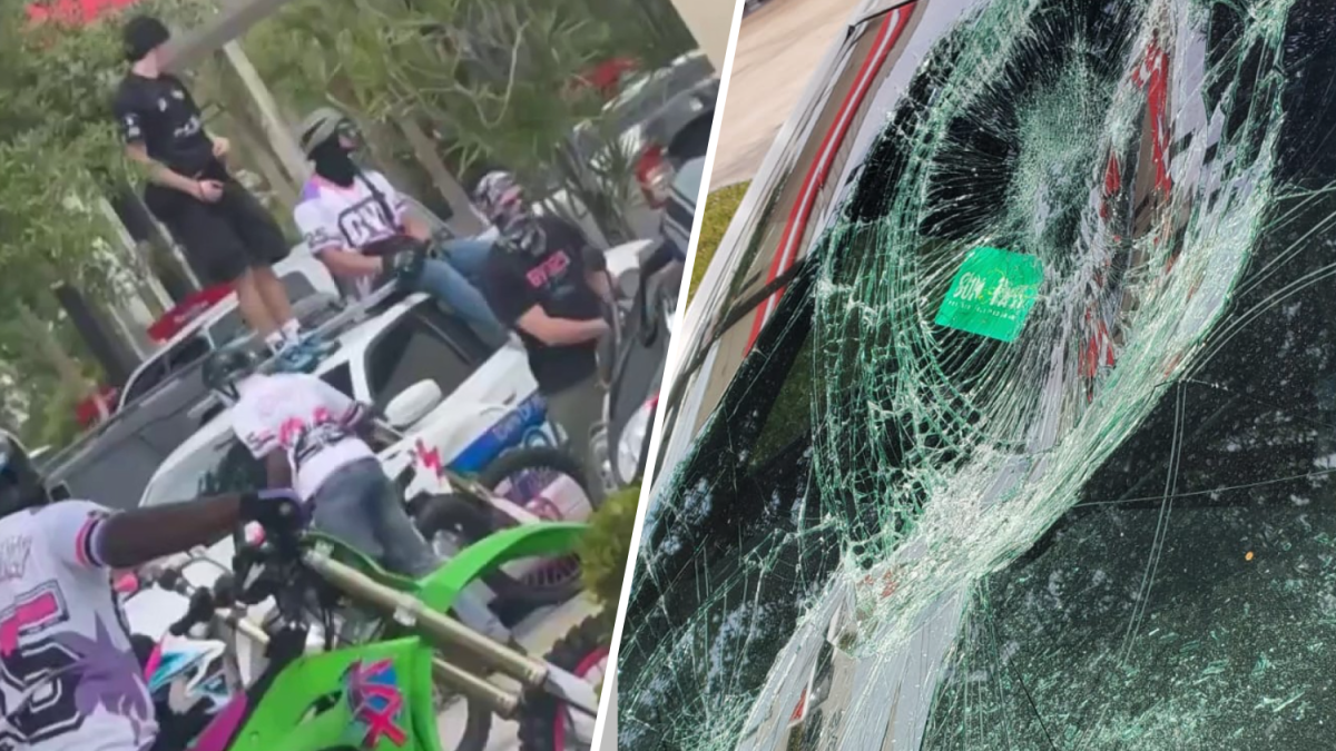 Policía busca a responsables de vandalizar una patrulla en Pembroke ...