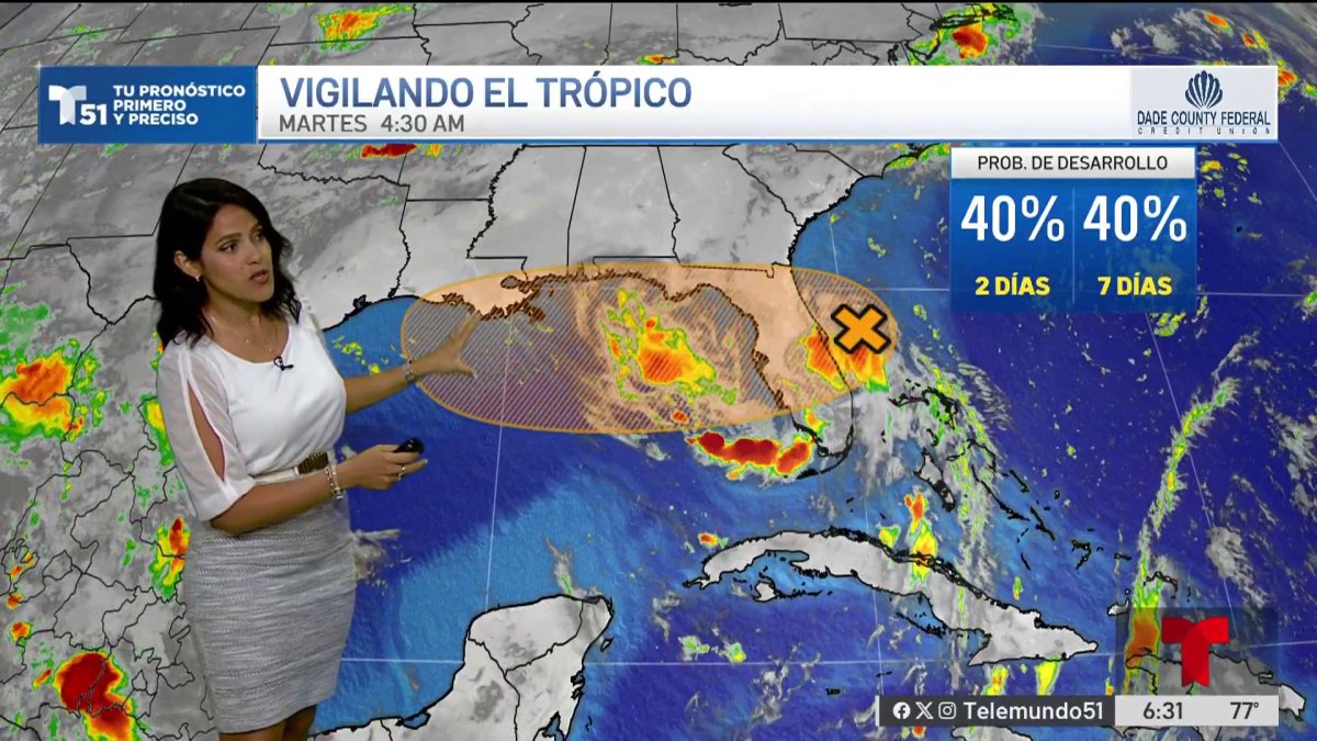 Actualizaciones en vivo noticias de Miami y sur de Florida – Telemundo ...