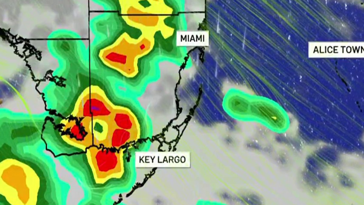 Actualizaciones en vivo noticias de Miami y sur de Florida – Telemundo ...