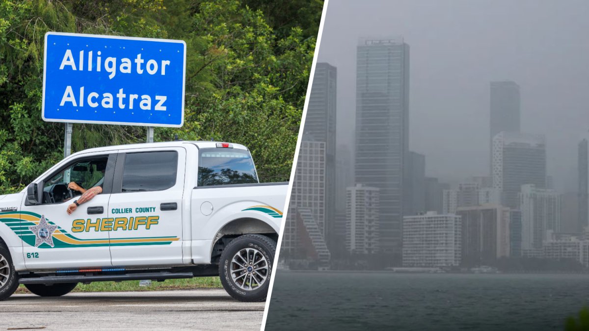Noticias de Miami y Florida: actualizaciones en vivo 28 de agosto ...