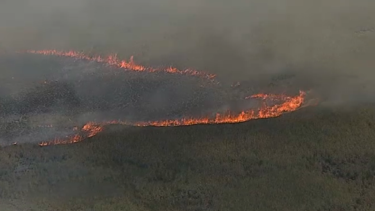 Incendio en Miami: fuego en los Everglades consume 1,600 acres ...
