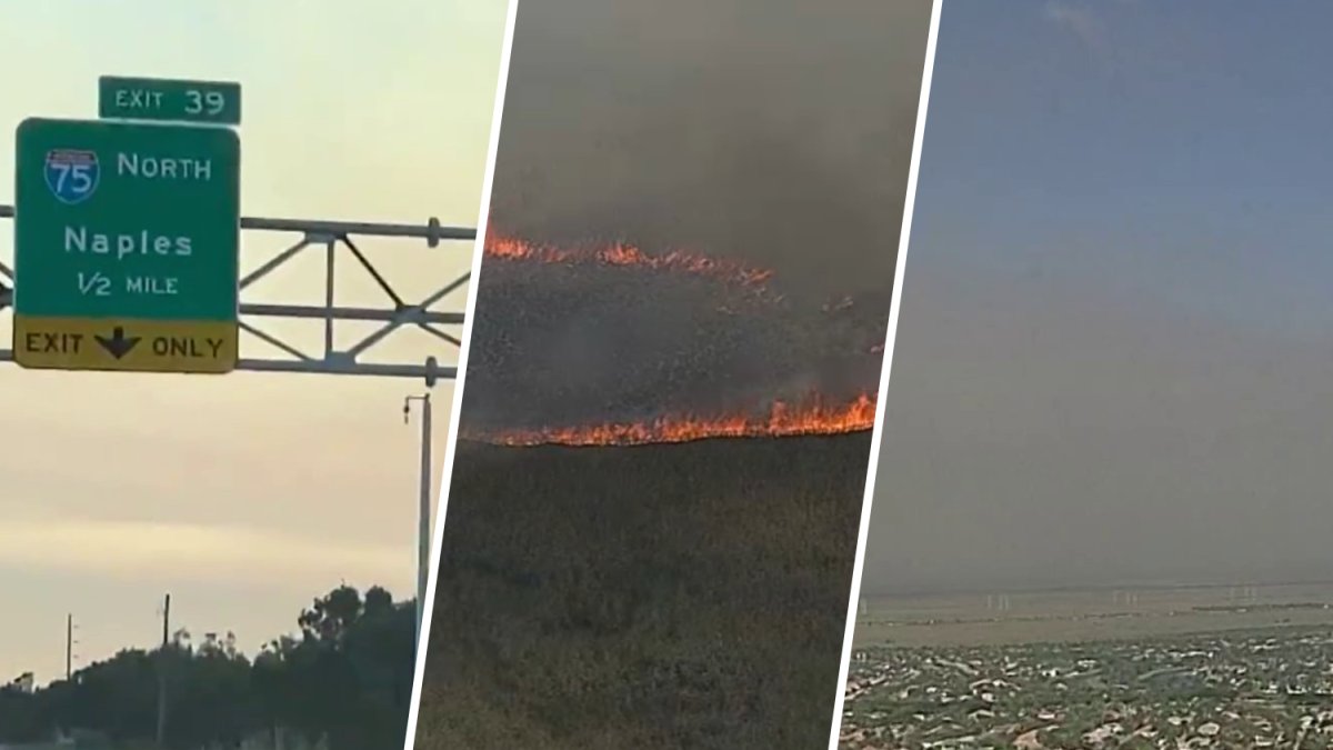 Actualizaciones en vivo del incendio en los Everglades – Telemundo ...