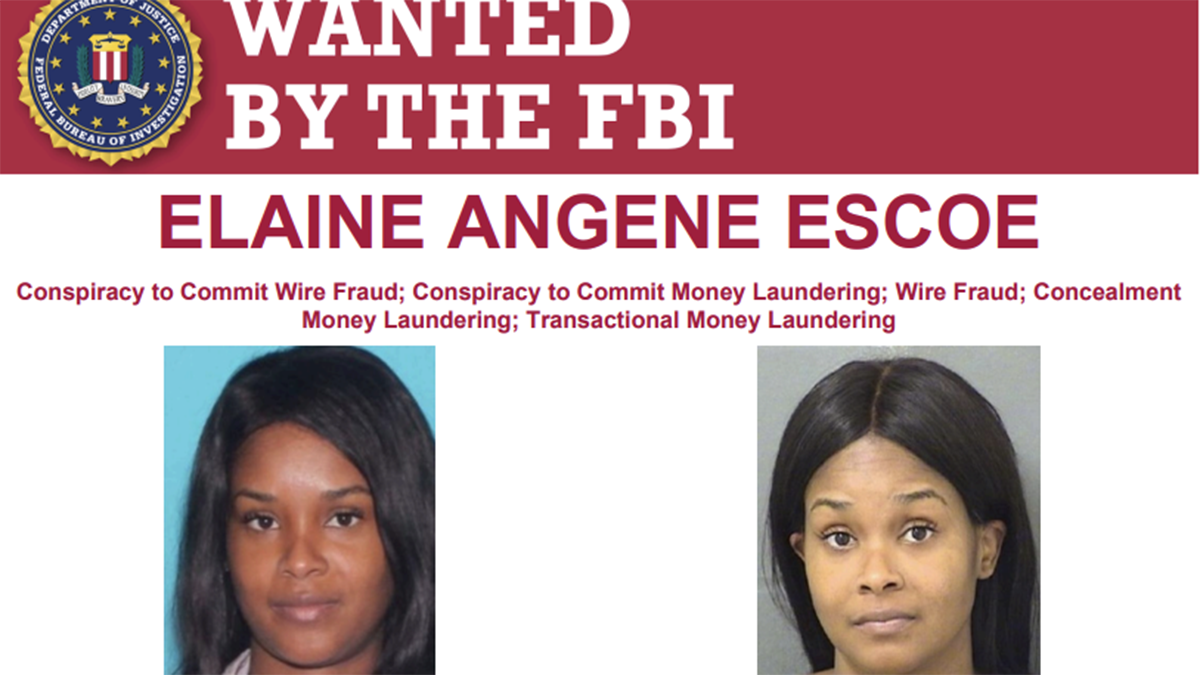 "Estafadores más buscados del FBI": mujer de Miami acusada por esquema ...
