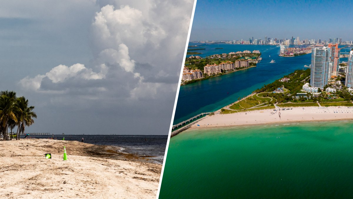 Evita bañarte en Crandon Park North y South Point Beach – Telemundo ...