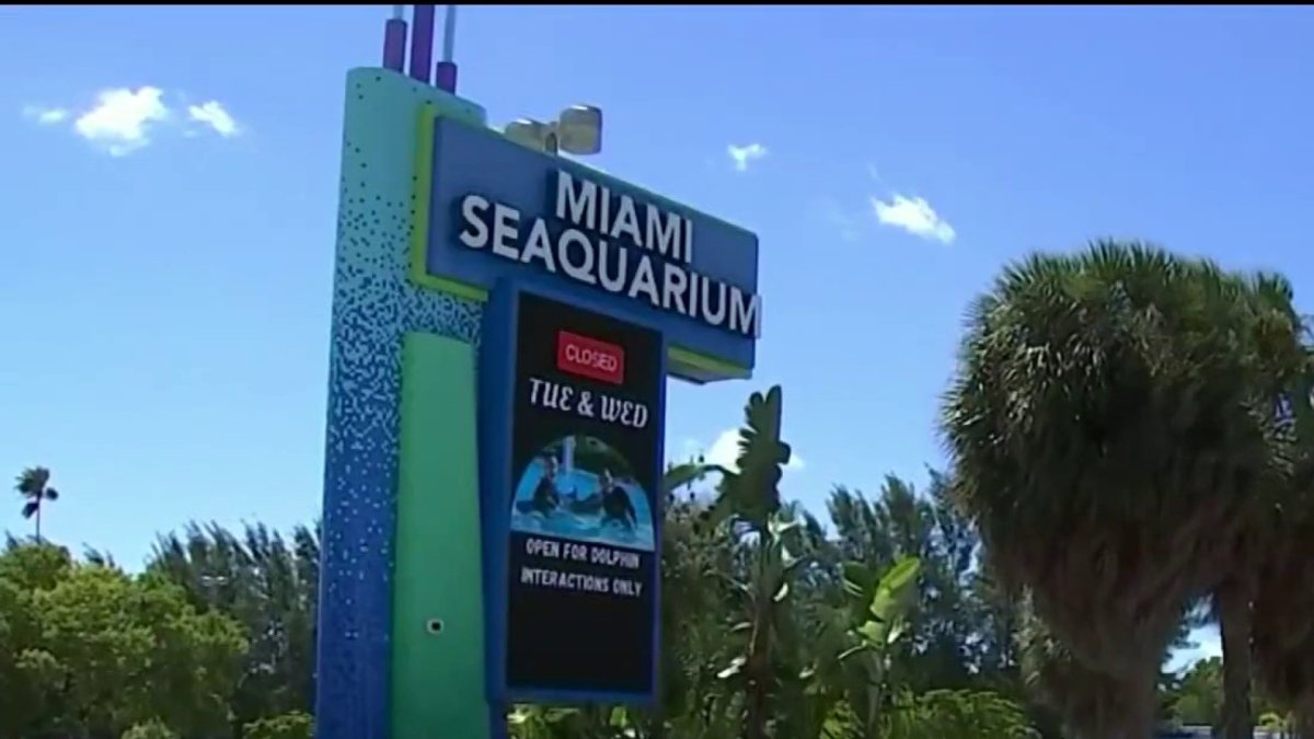 Cierra "Miami Seaquarium" tras décadas de historia y controversia ...