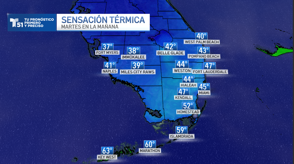 Llega el frío al sur de la Florida para la próxima semana – Telemundo ...