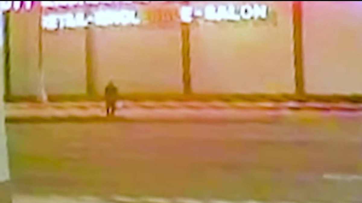 Video Atropello Mortal De Un Peatón En North Miami Queda Captado En