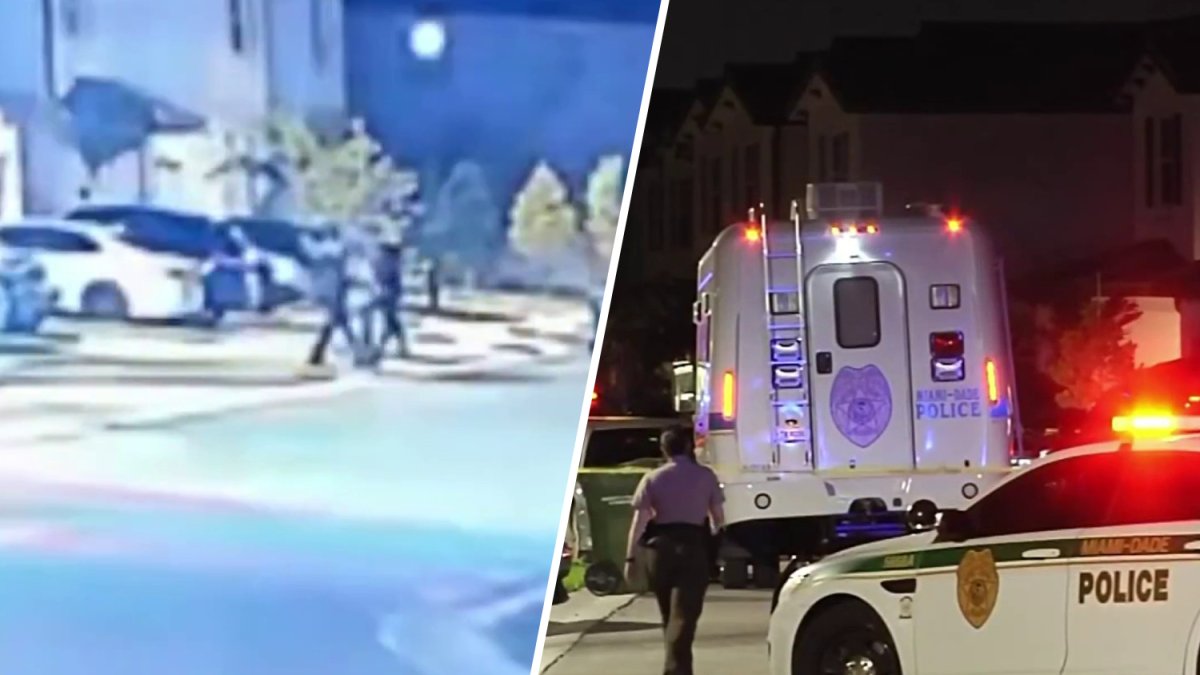 Tiroteo y detenciones tras robo de auto en Homestead: – Telemundo Miami ...