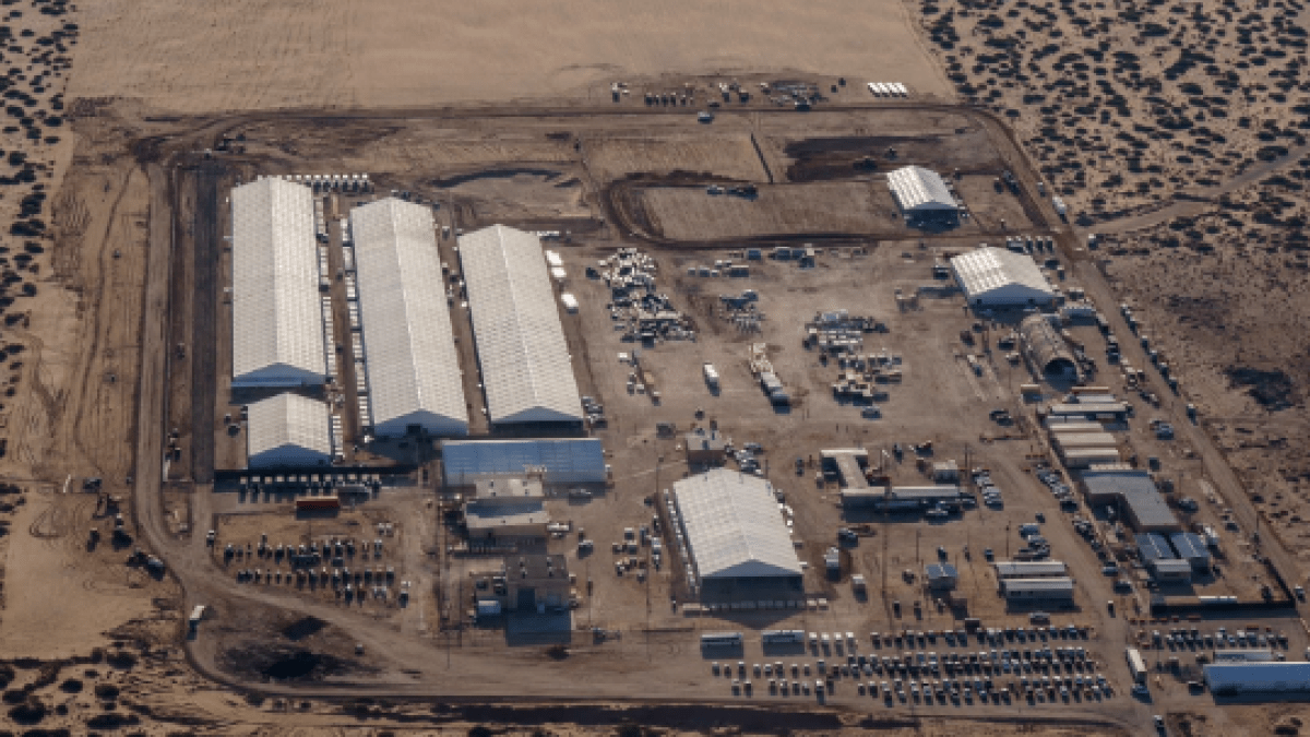 Muere inmigrante bajo custodia de ICE en El Paso – Telemundo Miami (51)