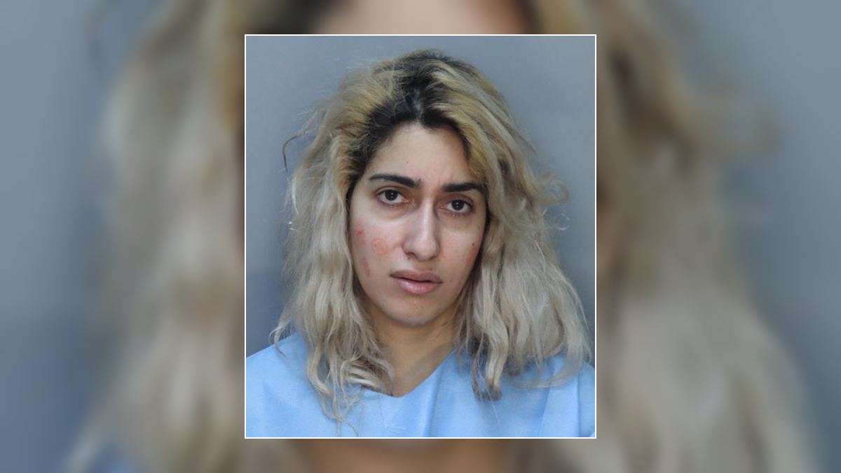 Madre de Miami encontrada desnuda en una calle con su hija enfrenta ...