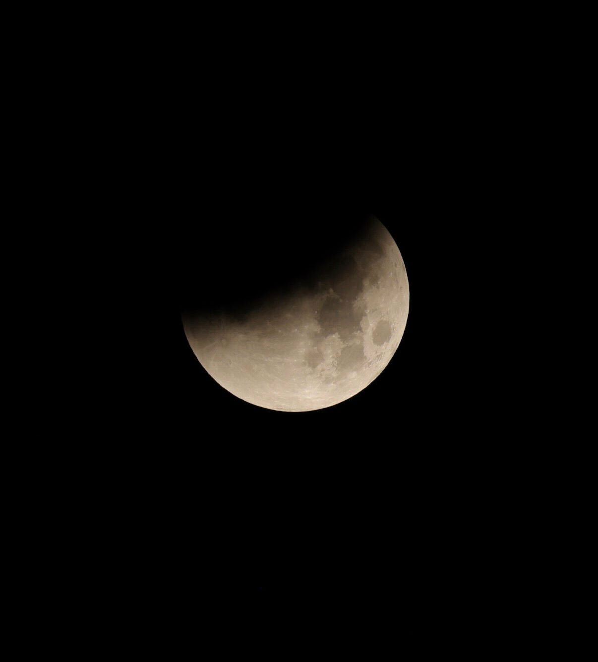 Imágenes del eclipse total lunar desde el sur de Florida – Telemundo ...