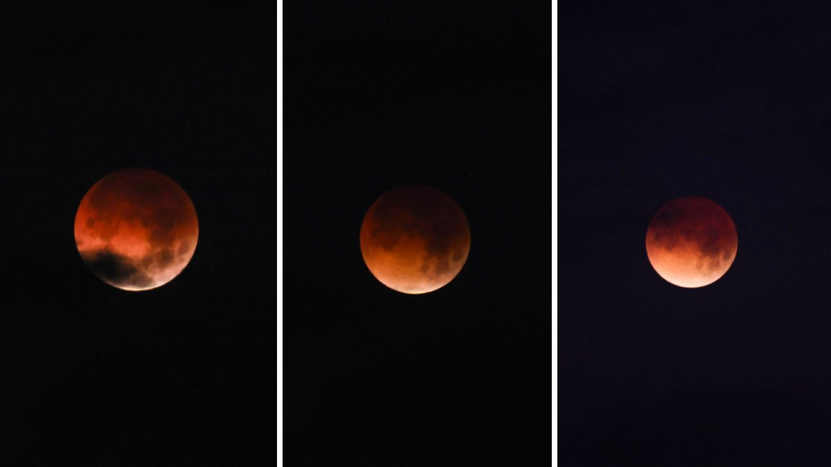Eclipse lunar total: imágenes desde el sur de Florida – Telemundo Miami ...