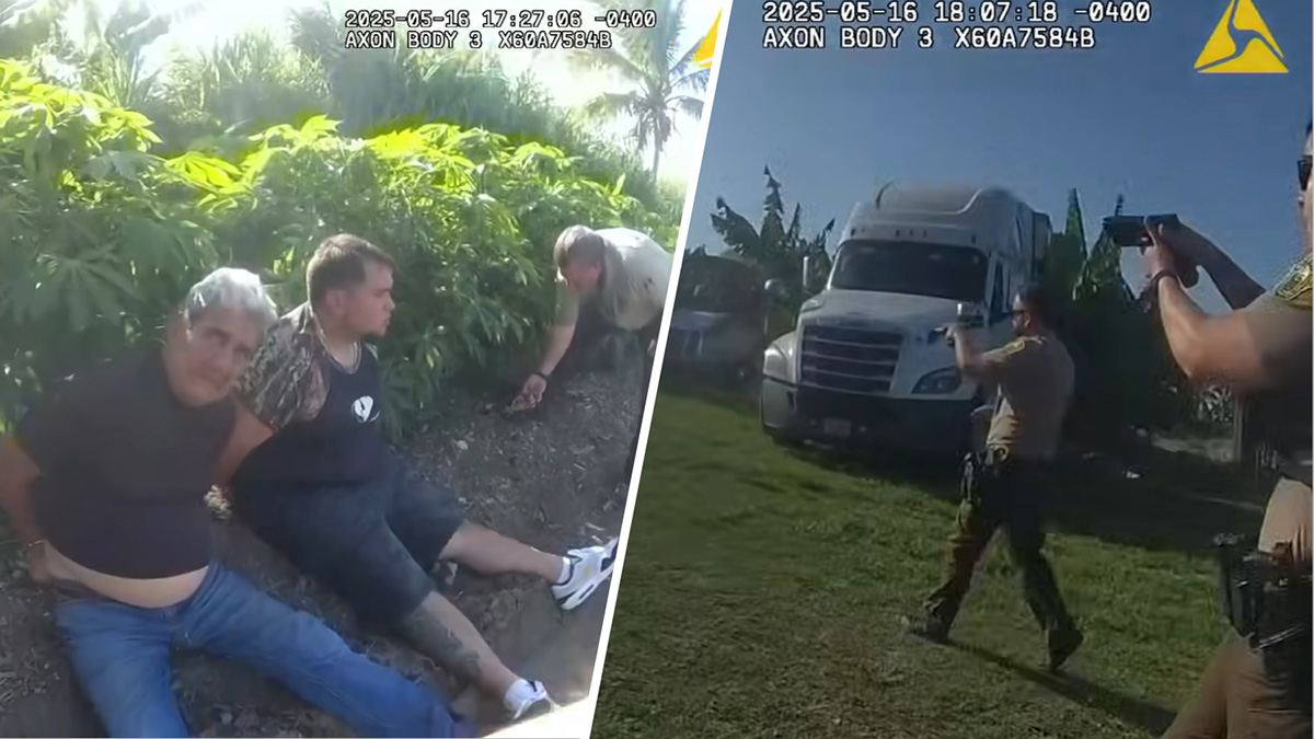 Operativo contra red de peleas de gallos en Miami-Dade que terminó con ...