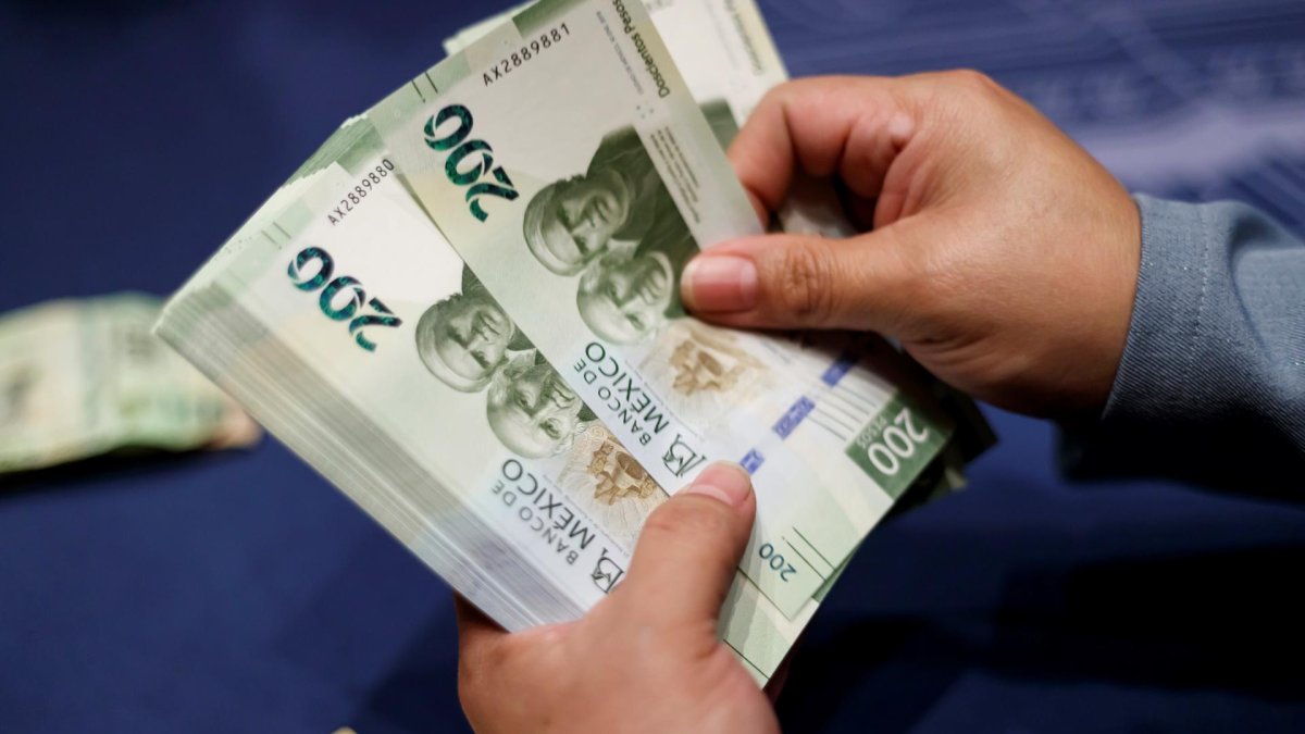 México desmantela El Caballito, red dedicado al lavado de dinero ...