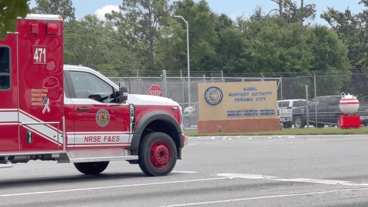 Ataque de tiburón en Florida queda captado en video – Telemundo Miami (51)
