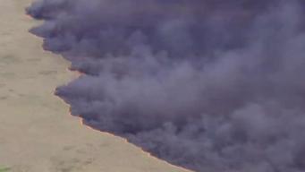 Noticiero Telemundo 51 | Telemundo 51