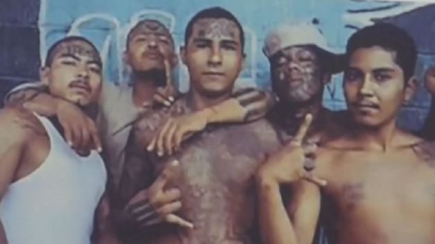 Noticiero Telemundo 51 | Telemundo 51